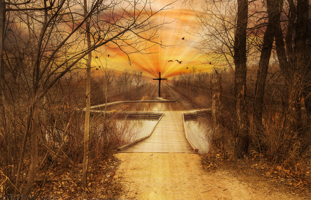 Repentance by Lisa Wickert | Altus Fine Art