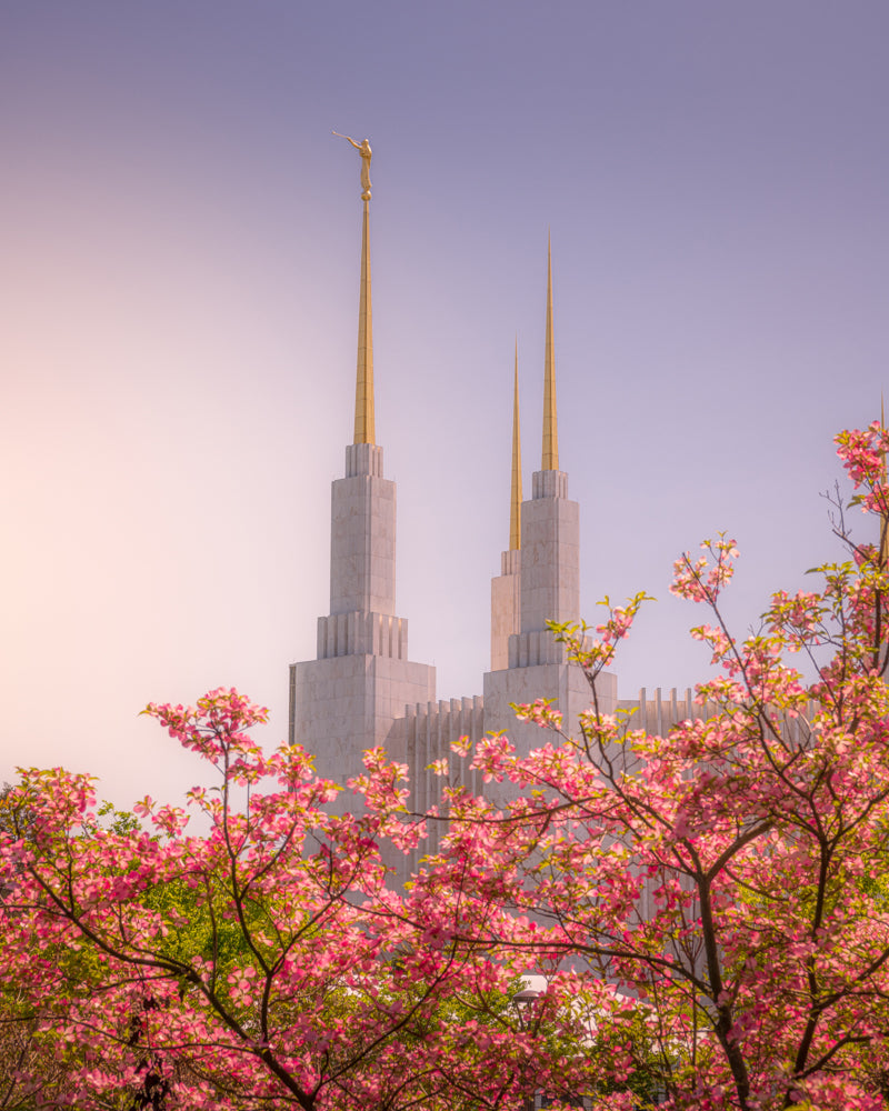 Washington DC Temple - Spires and Blooms by Michael Heiner | Altus Fine Art