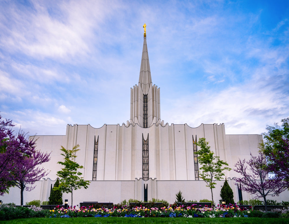 Jordan River Temple - Spring Blossoms by Scott Jarvie | Altus Fine Art
