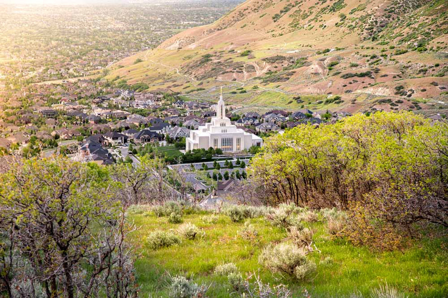 Draper Utah Temple - Irradiated by Evan Lurker | Altus Fine Art