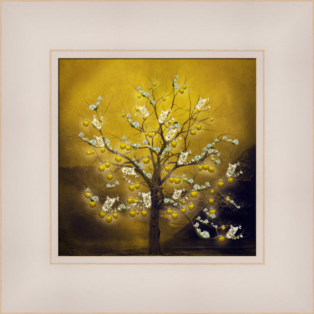 The Tree of Life by Eva Koleva Timothy | Altus Fine Art