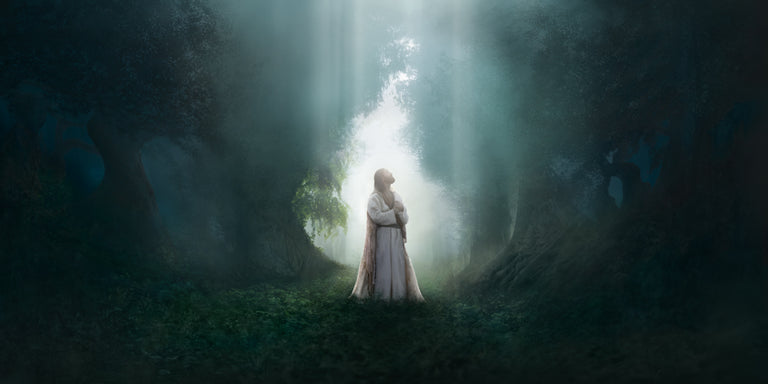 Lightweave — Altus Fine Art