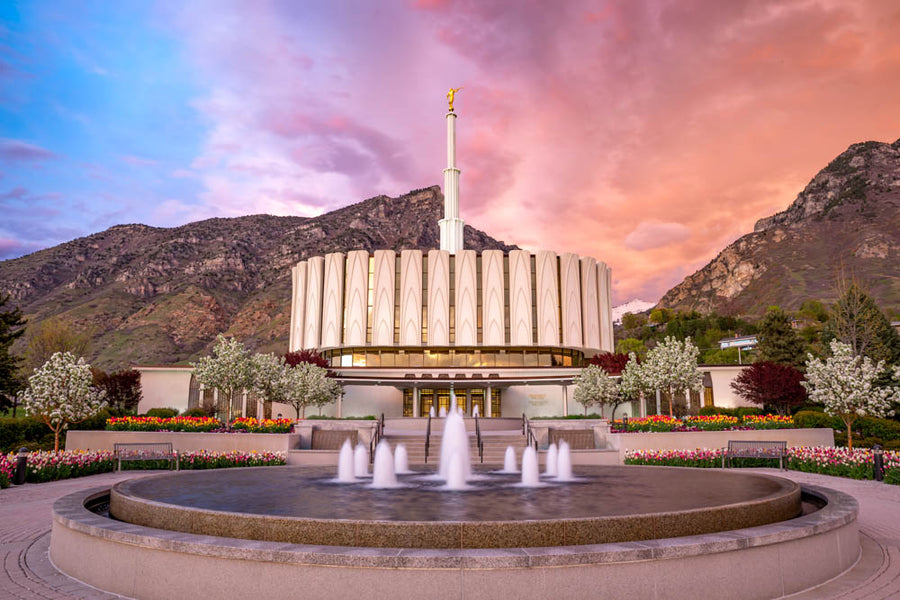 Evan - Temple Photography of Light | Altus Fine Art