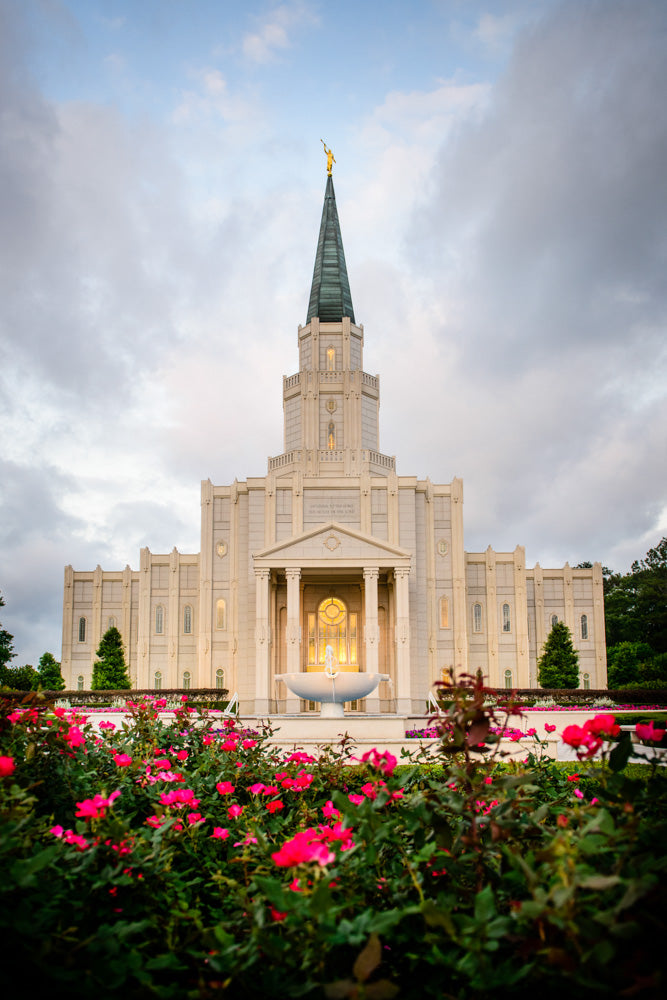 Houston Temple - Temple -Flowers by Scott Jarvie | Altus Fine Art